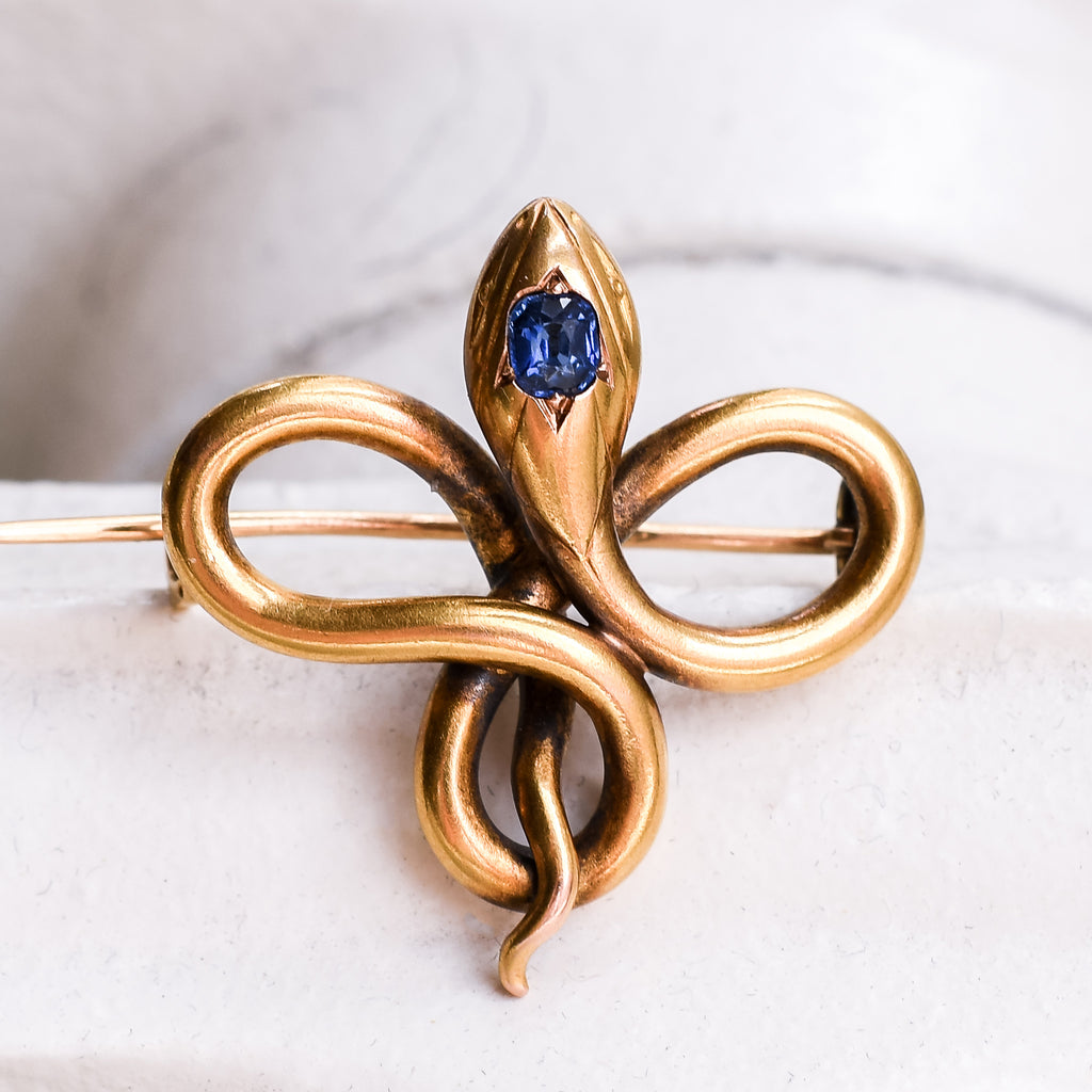 Victorian Sapphire Coiled Serpent Brooch – Butter Lane Antiques